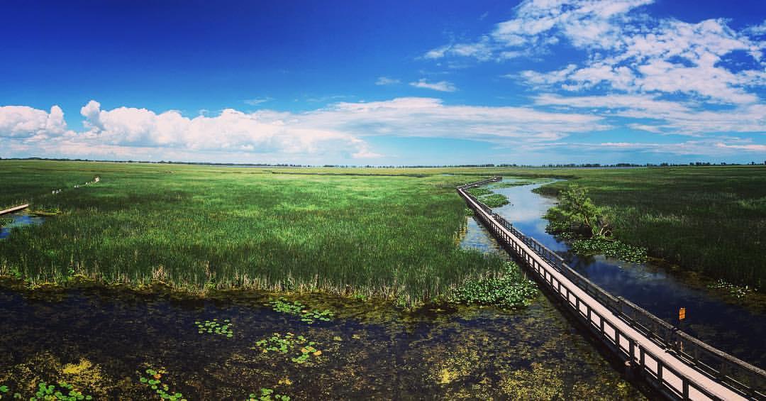 Camp Henry Family Camp Info Guide | YMCA of Southwestern Ontario